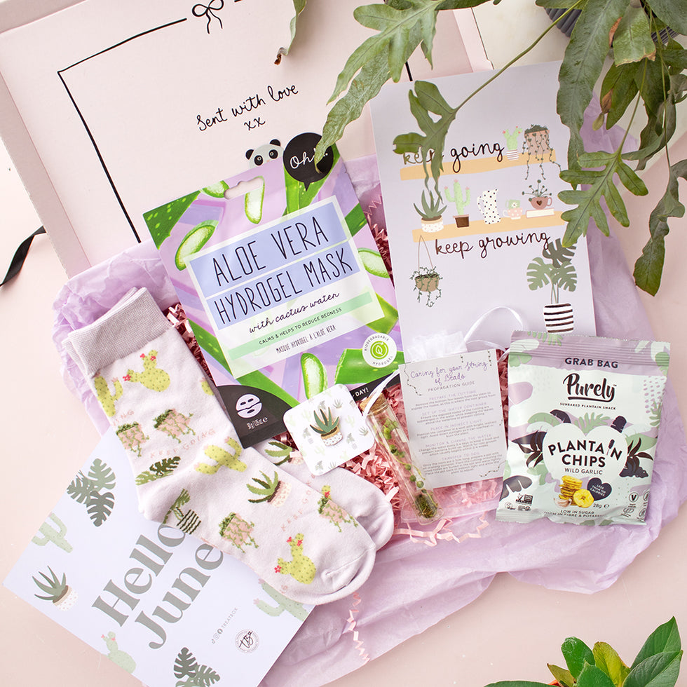 Monthly Subscription Box | One Off Box – TreatBox